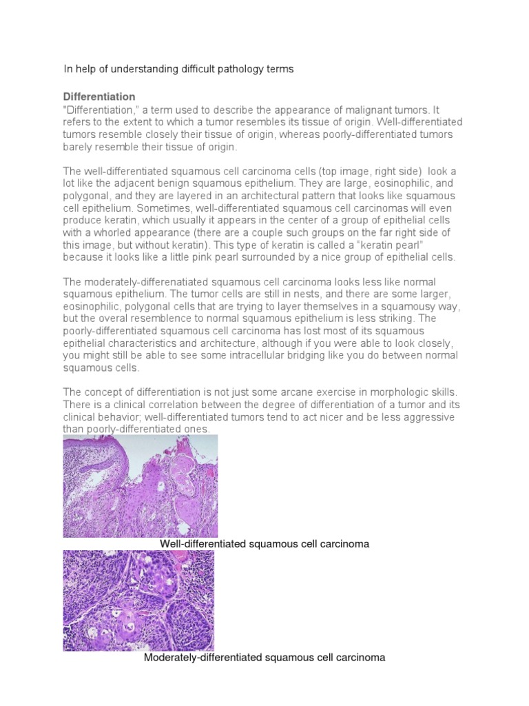 Difficult Pathology Terms | PDF | Epithelium | Carcinoma