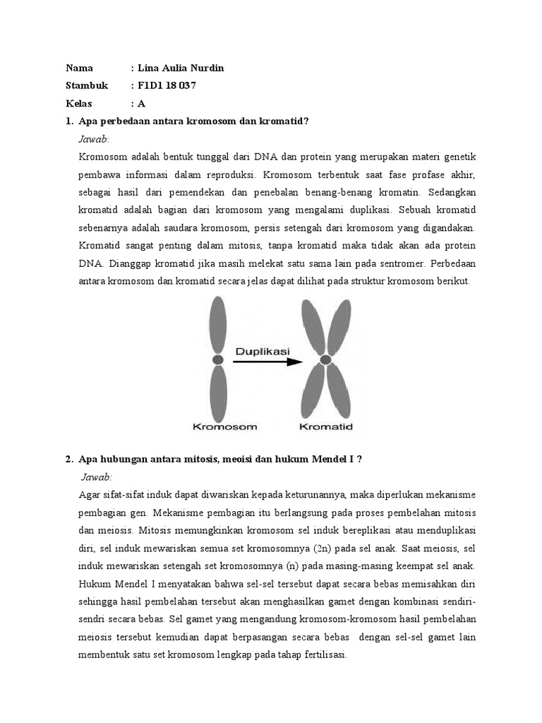 Perbedaan Kromosom dan Kromatid | PDF | Sains & Matematika
