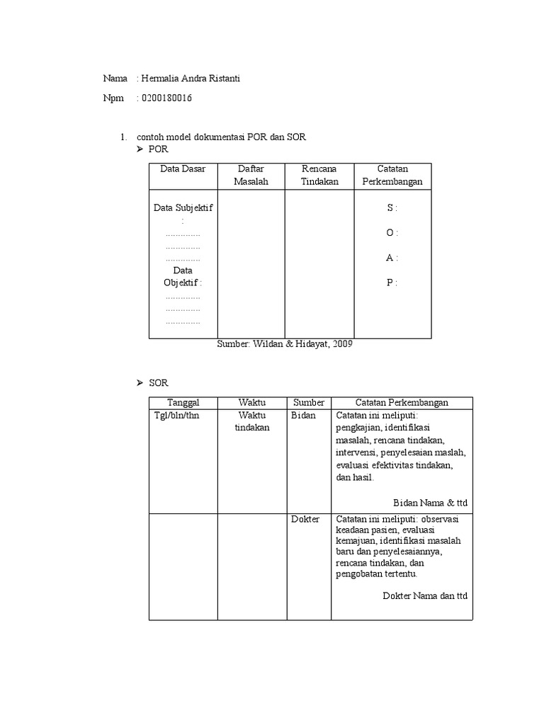 Contoh Model POR Dan SOR | PDF