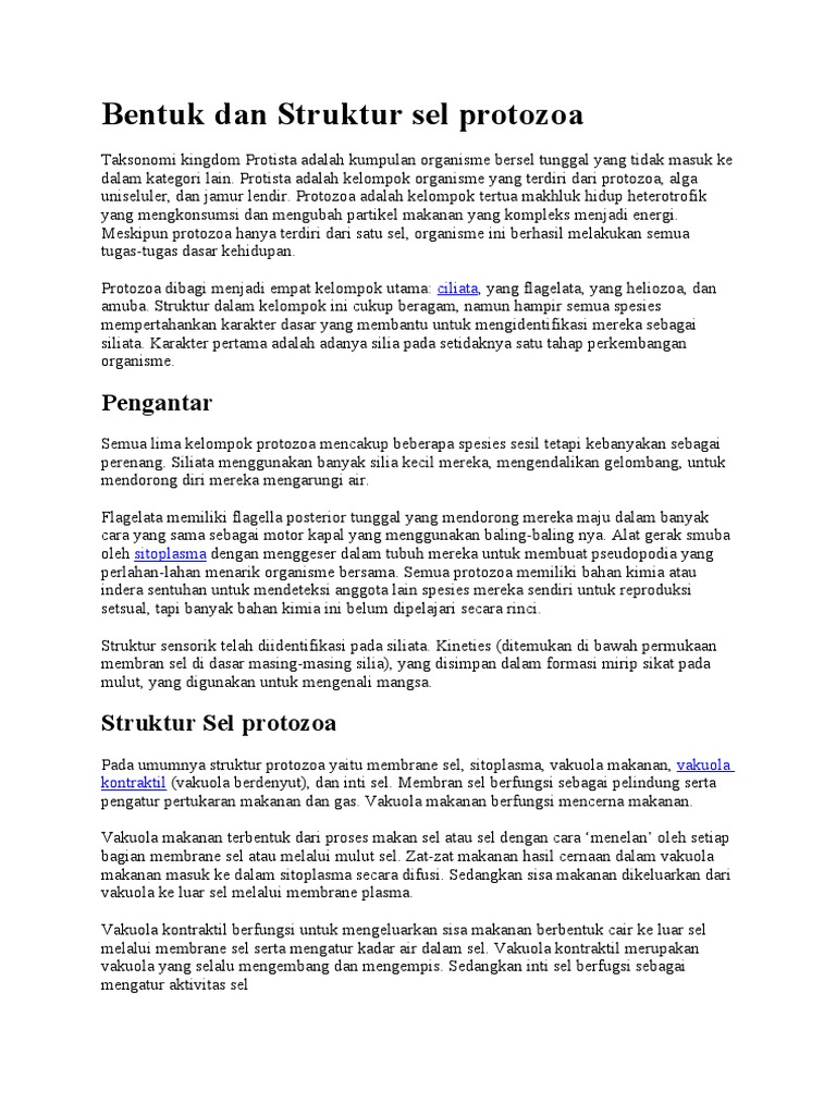 Bentuk Dan Struktur Sel Protozoa | PDF