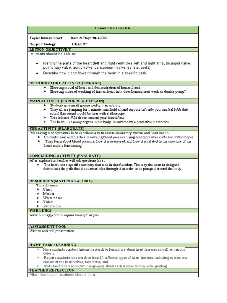 Lesson Plan | PDF | Heart Valve | Heart