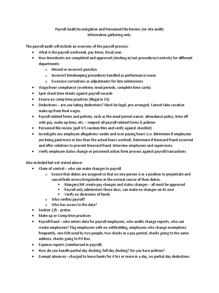 Payroll Audit Template I