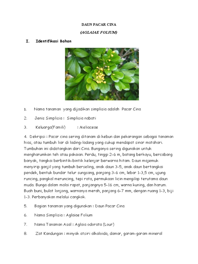 Daun Pacar Cina | PDF