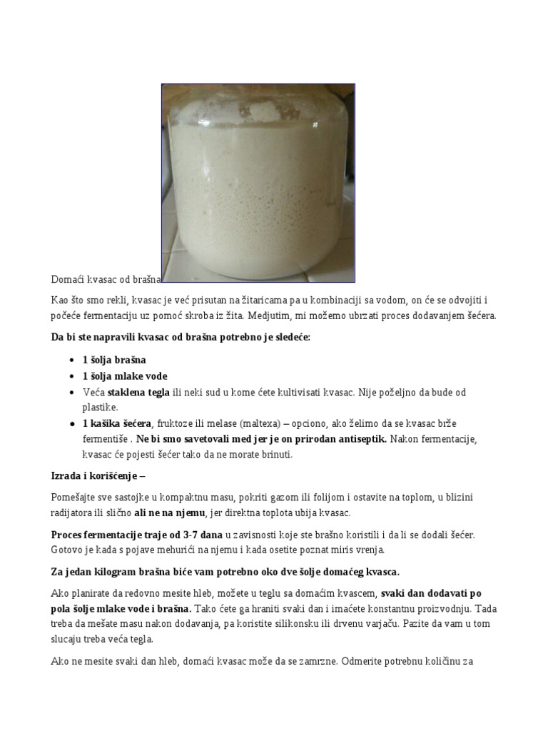 Domaći Kvasac | PDF