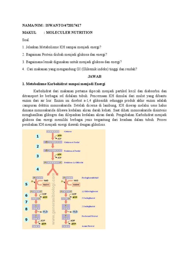 Metabolisme KH, Lemak, Protein | PDF