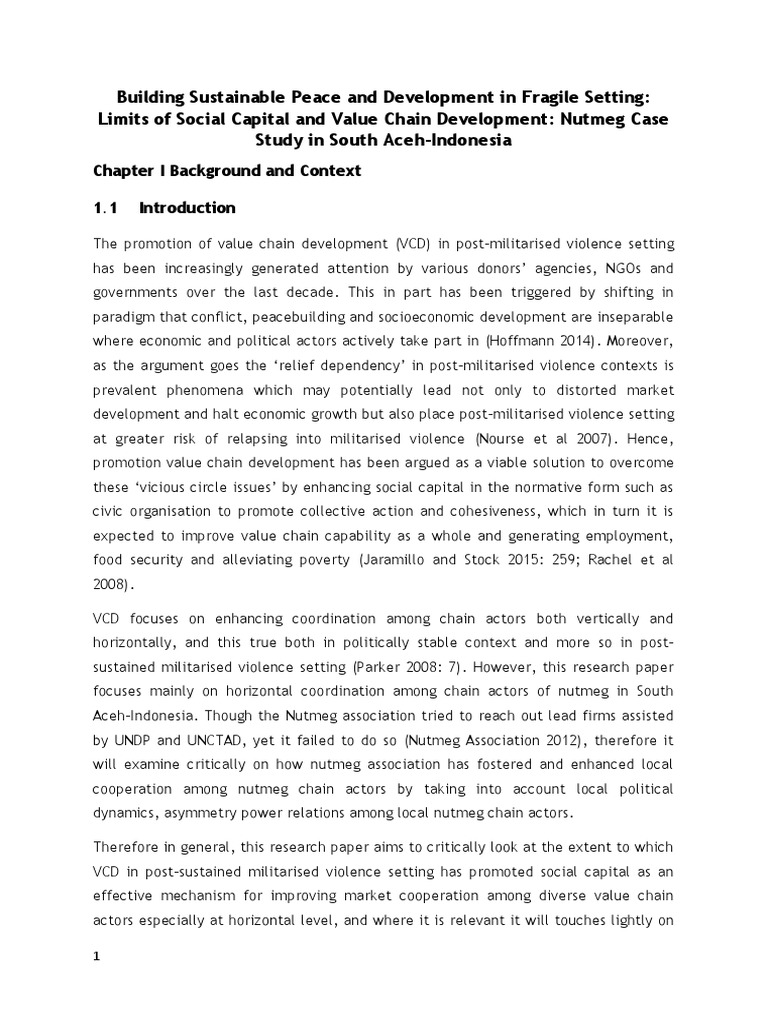 Building - Long Term Development | PDF | Social Capital | Peacebuilding