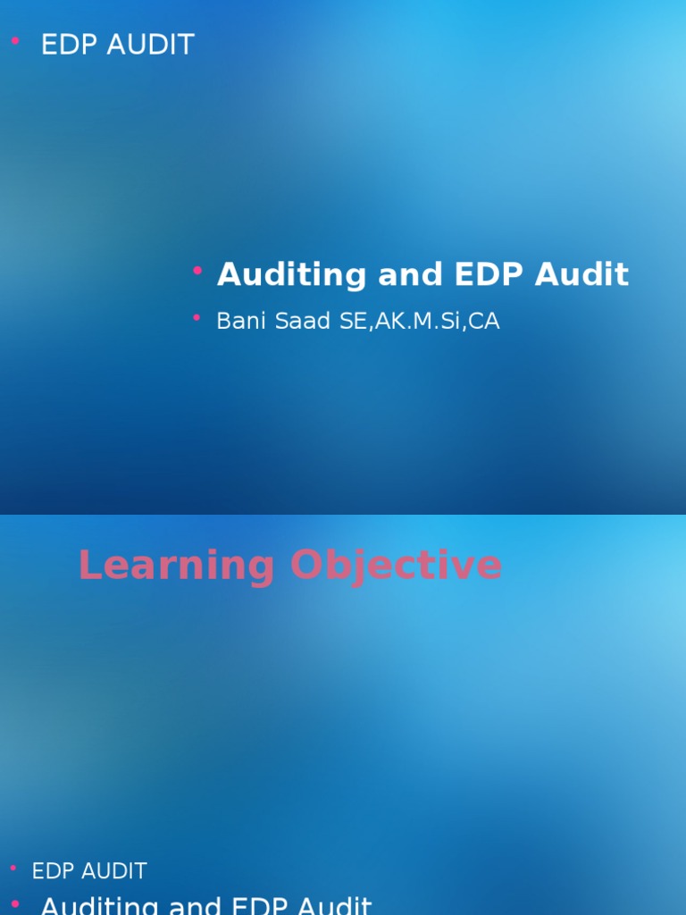 EDP Audit | PDF