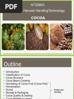 Cocoa Flow Chart | PDF | Cocoa Bean | Chocolate