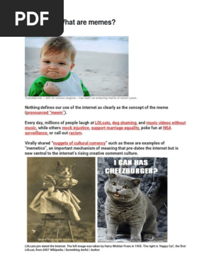 4B - What Are Memes PDF, Download Free PDF, Meme