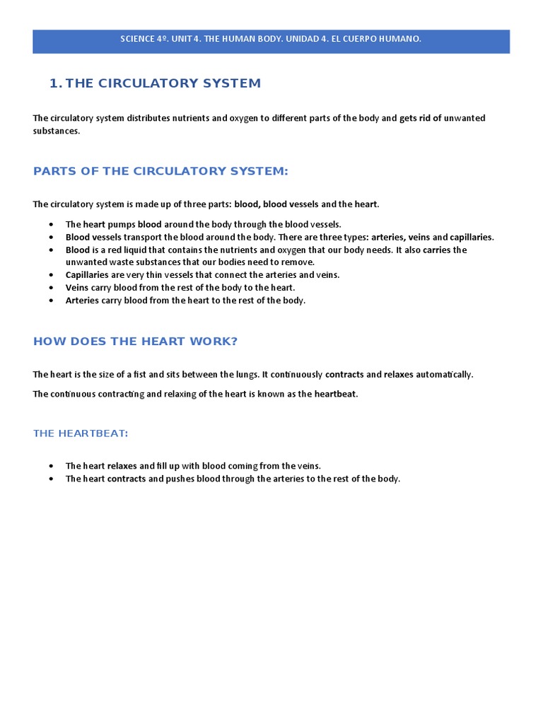 Unit 4. The Human Body | PDF | Respiratory Tract | Lung