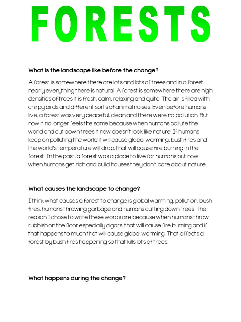 Forest Explanation | PDF | Forests | Trees