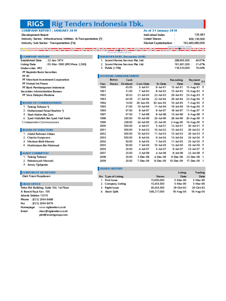 Rigs | PDF | Equity (Finance) | Revenue