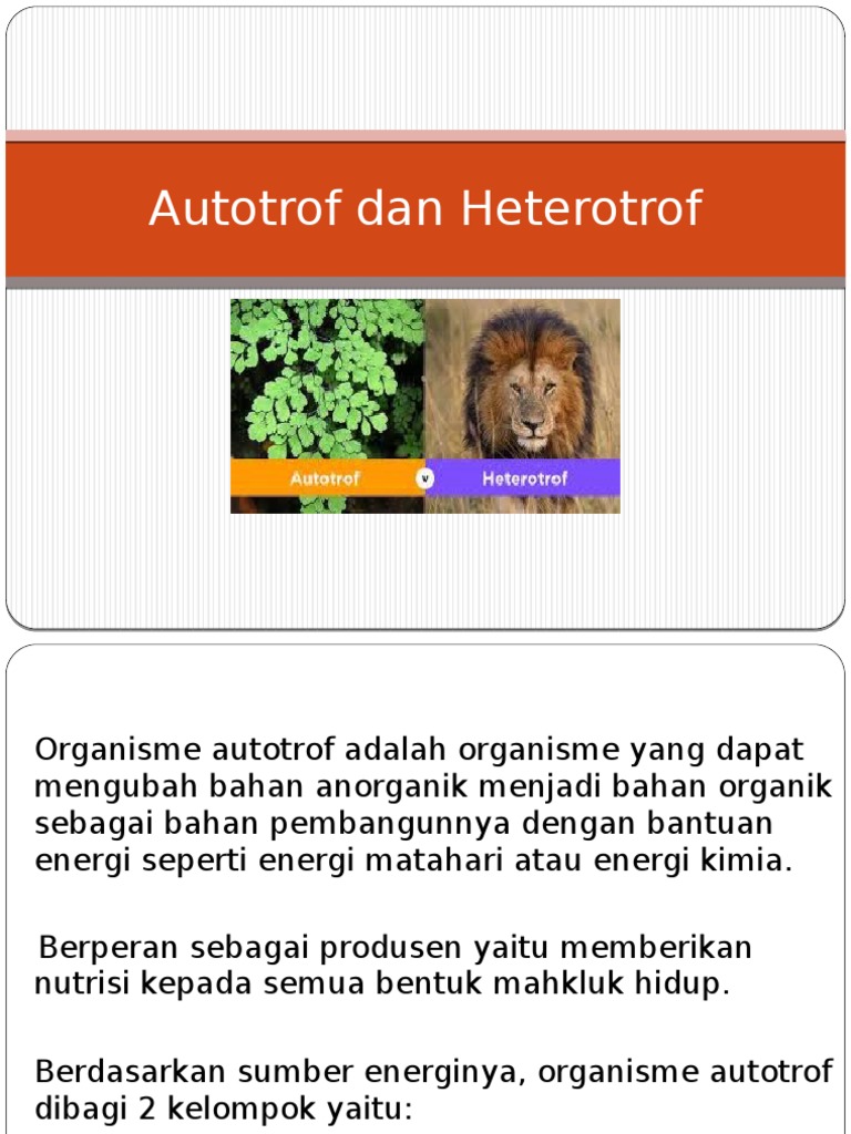 Autotrof Dan Heterotrof | PDF