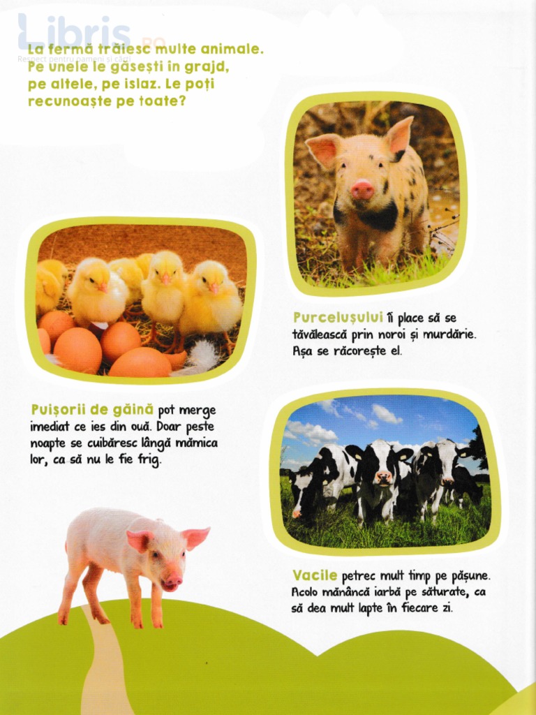 Bebe Invata. Marea Carte Despre Animale. 50 de Sunete de Animale PDF | PDF