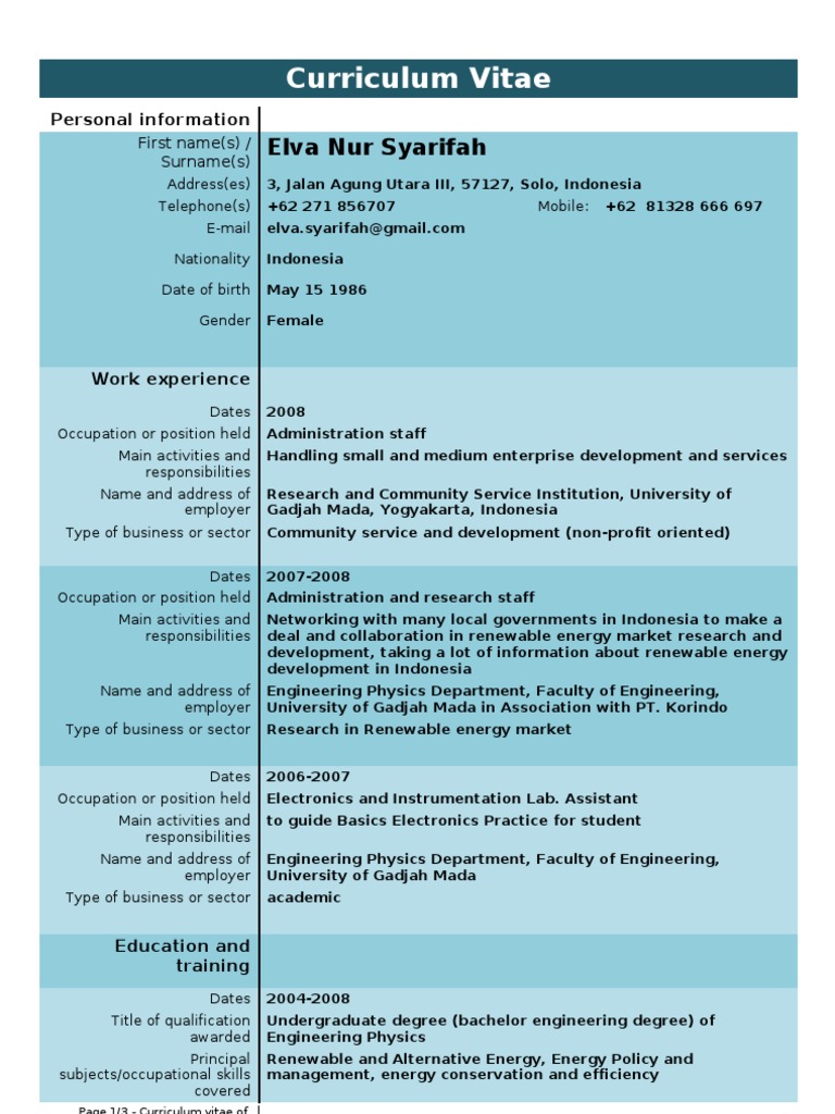 CV Elva 2010 S1 | PDF | Indonesia | Engineering