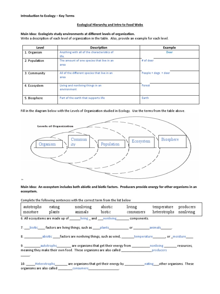 Ecology Levels and Food Webs Explained | PDF | Food Web | Ecosystem
