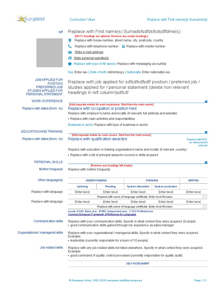 Ecv Template en | PDF | Communication | Computing