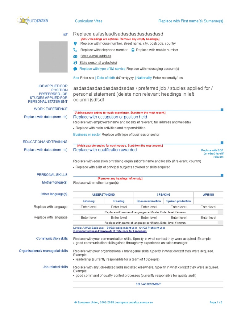 Ecv Template en | PDF | Communication | Computing