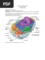 Anatomy - & - Physiology Cheat Sheet | PDF | Bone | Skin