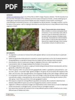 Natural Selection Study Guide Key | PDF