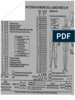Escala de Asia | PDF