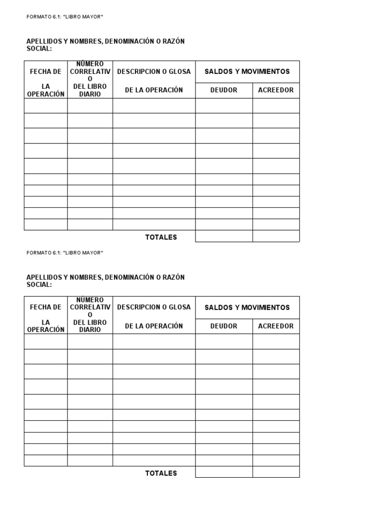 Plantilla de Libro Mayor | PDF