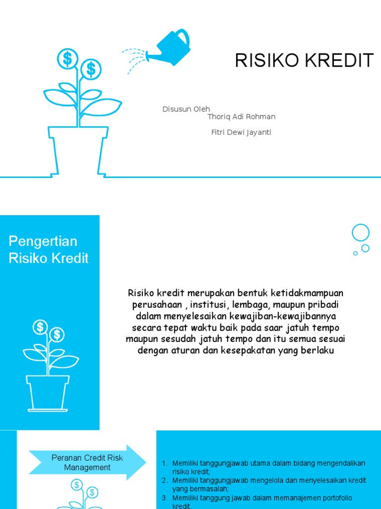 Risiko Kredit | PDF | Bisnis | Hukum