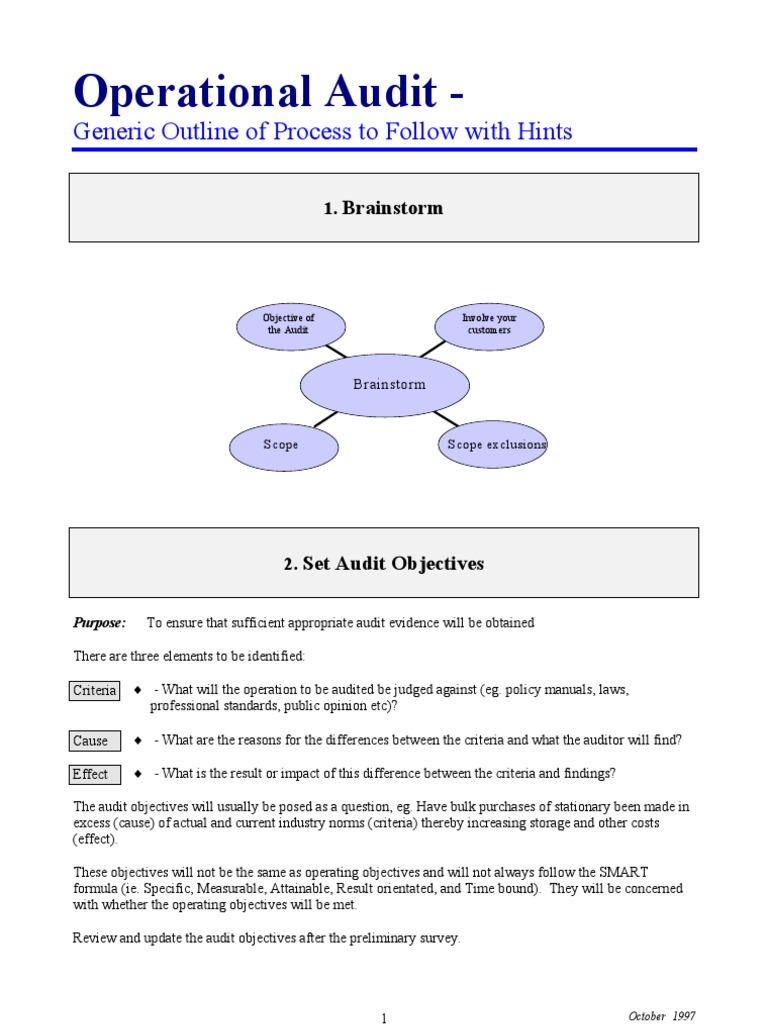 Alur Proses Operational Audit | PDF | Internal Control | Audit