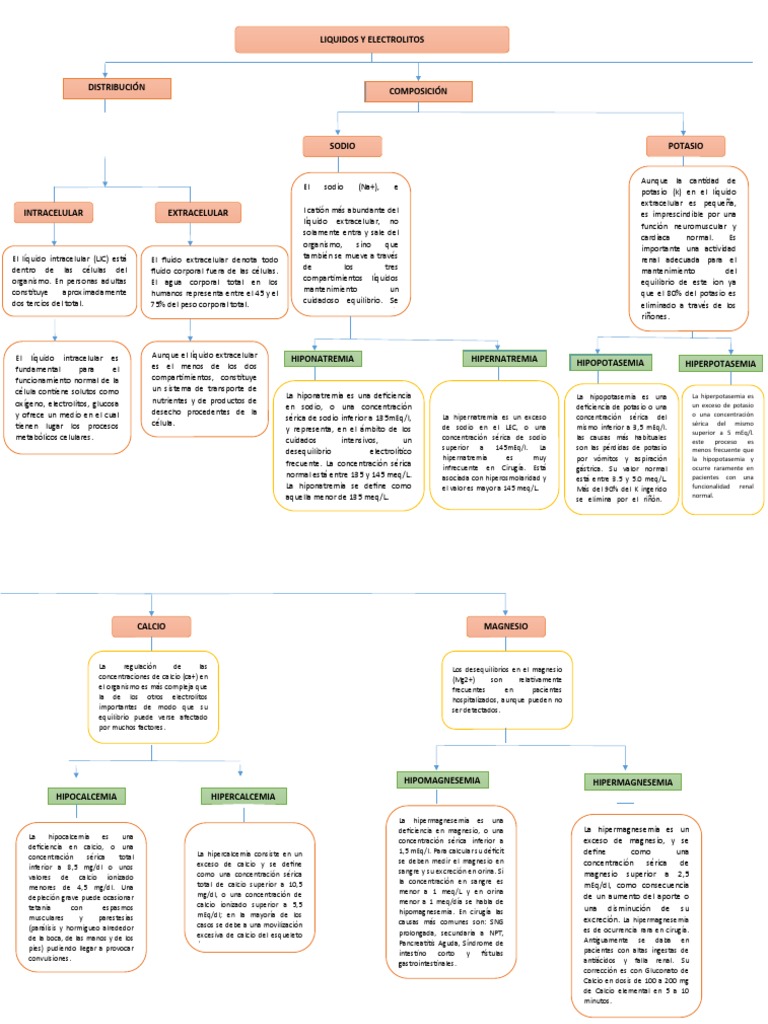 Mapa Conceptual Liquidos y Electrolitoss | PDF | Potasio | Dieta y nutrición