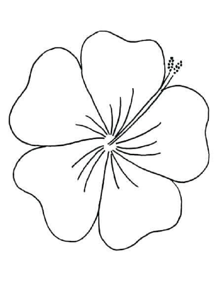 Bunga Raya Clipart Black And White