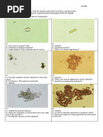Non-Blood Specimen Collection Guide | PDF | Cerebrospinal Fluid ...