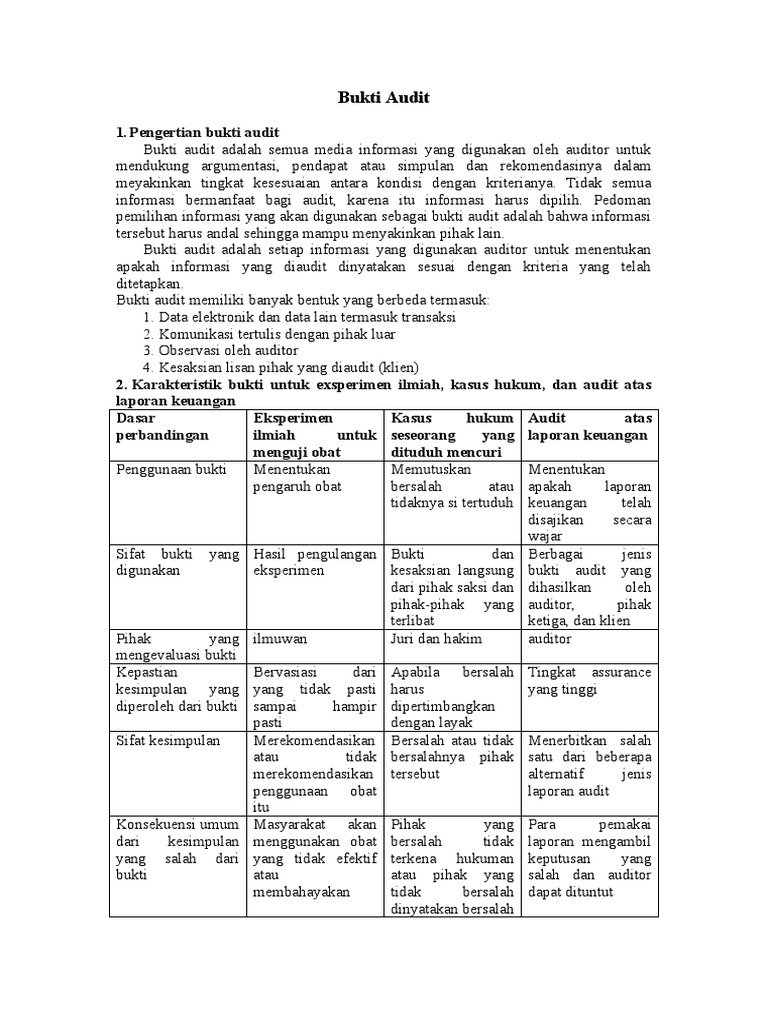Bukti Audit | PDF
