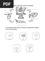 Entrance Test For Grade 1 | PDF