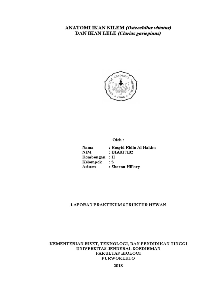 ANATOMICAL STRUCTURES OF NILEM FISH (Osteochilus vittatus) AND CATFISH ...