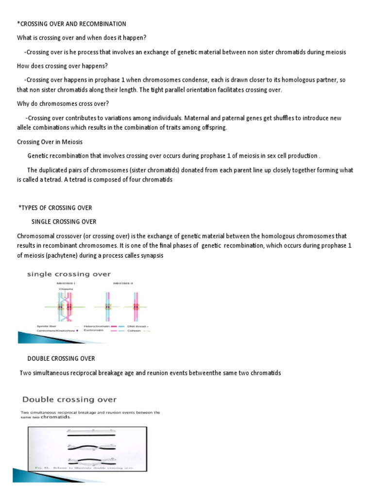 Crossing Over and Recombination | PDF