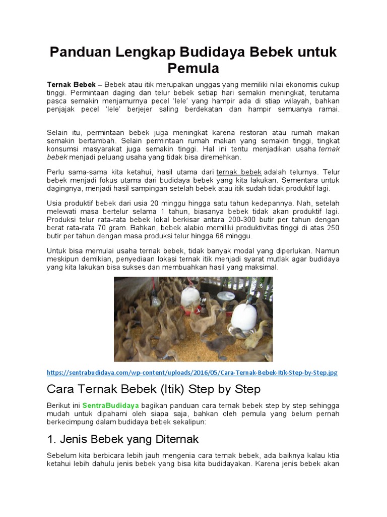 Panduan Lengkap Budidaya Bebek Untuk Pemula | PDF