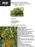 Vitex Payos | PDF | Trees | Leaf