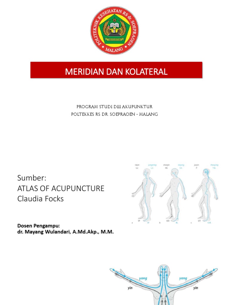 Meridian Dan Kolateral Pertemuan 1 PDF | PDF | Pengembangan Diri ...