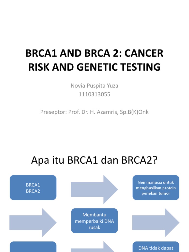 Brca1 and Brca 2 | PDF