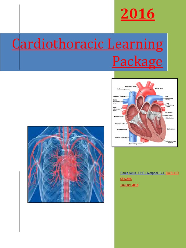 Cardiothoracic Learning Package PDF | PDF | Coronary Circulation ...