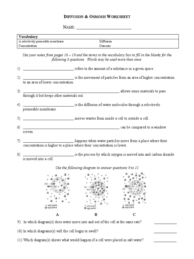 Diffusion-Osmosis-Worksheet 5 | PDF | Osmosis | Chemistry