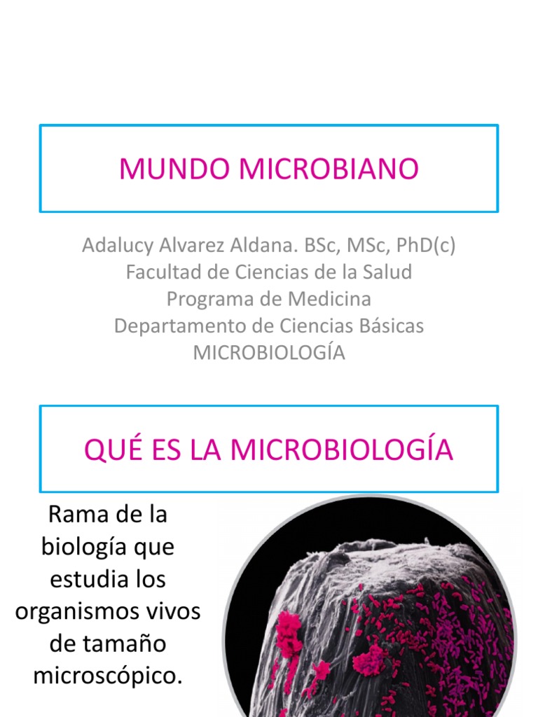 Mundo Microbiano PDF | PDF | Microbiología | Microorganismo