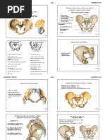 Escala de Boston | PDF | Ciencia y matemáticas