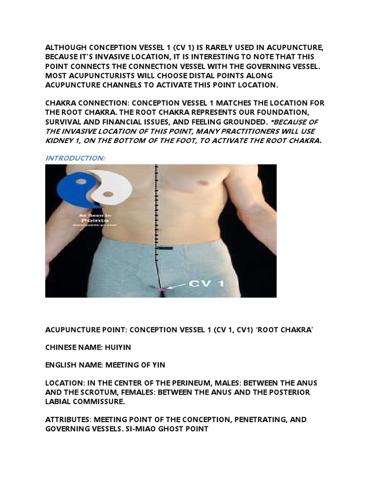 Conception Vessel 1: Root Chakra Insights | PDF