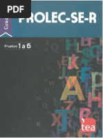 Cuadernillo ProESC | PDF
