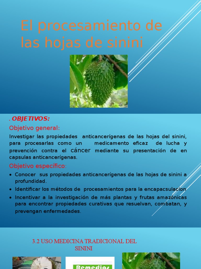 Presentacion Hojass de Sinini | PDF
