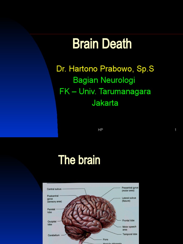 Brain Death: Diagnosis & Criteria | PDF | Coma | Death