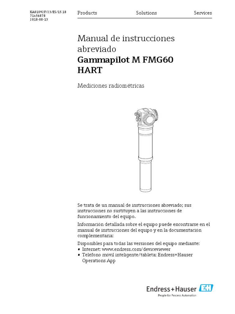 Gammapilot M FMG60 | PDF | Desintegración radioactiva | Medición