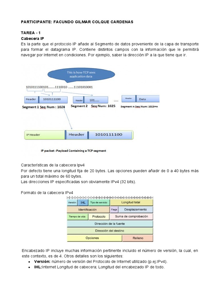Cabecera IP | Descargar gratis PDF | Protocolos de internet ...