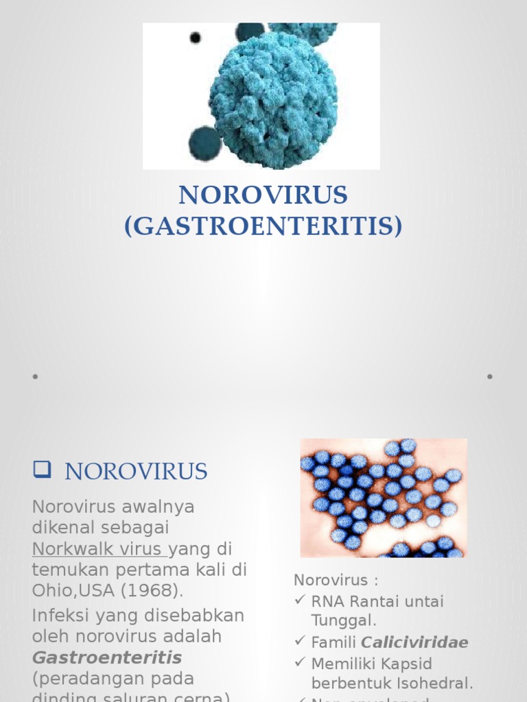 Mikrobiologi Norovirus | PDF